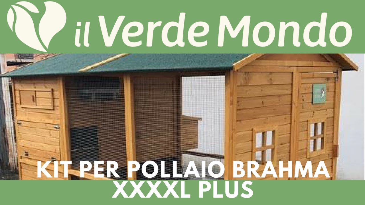 IL POLLAIO PERFETTO PER INIZIARE | Kit per Pollaio Brahma XXXXL PLUS ...