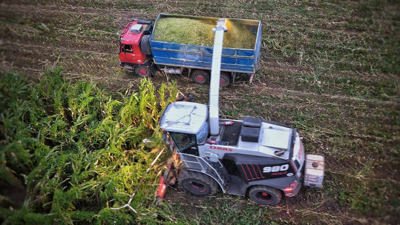 Siláže kukurice - práce na jame 2023 [ Claas Jaguar 980, Case IH, John ...