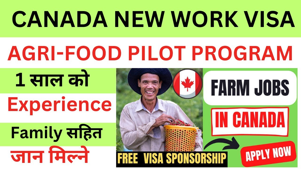 agri-food immigration pilot canada | how to apply | - YouTube