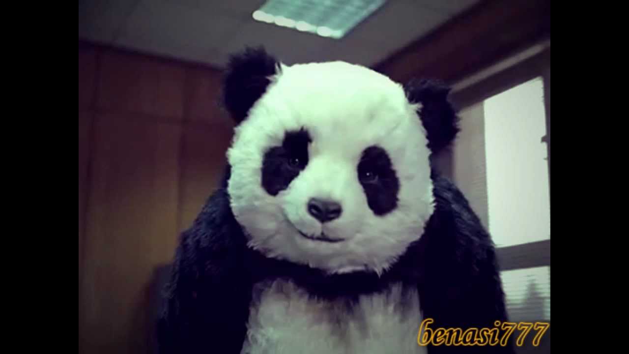 DUBSTEP PANDA - YouTube