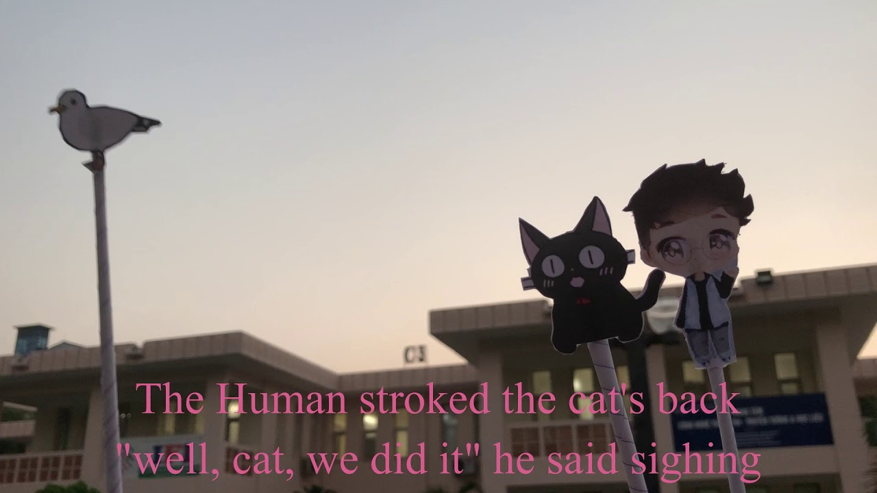 The Story of a seagull and the cat who taught her to fly - YouTube