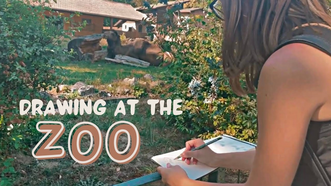 drawing at the zoo! 🐯 (awkward but fun experience) - YouTube
