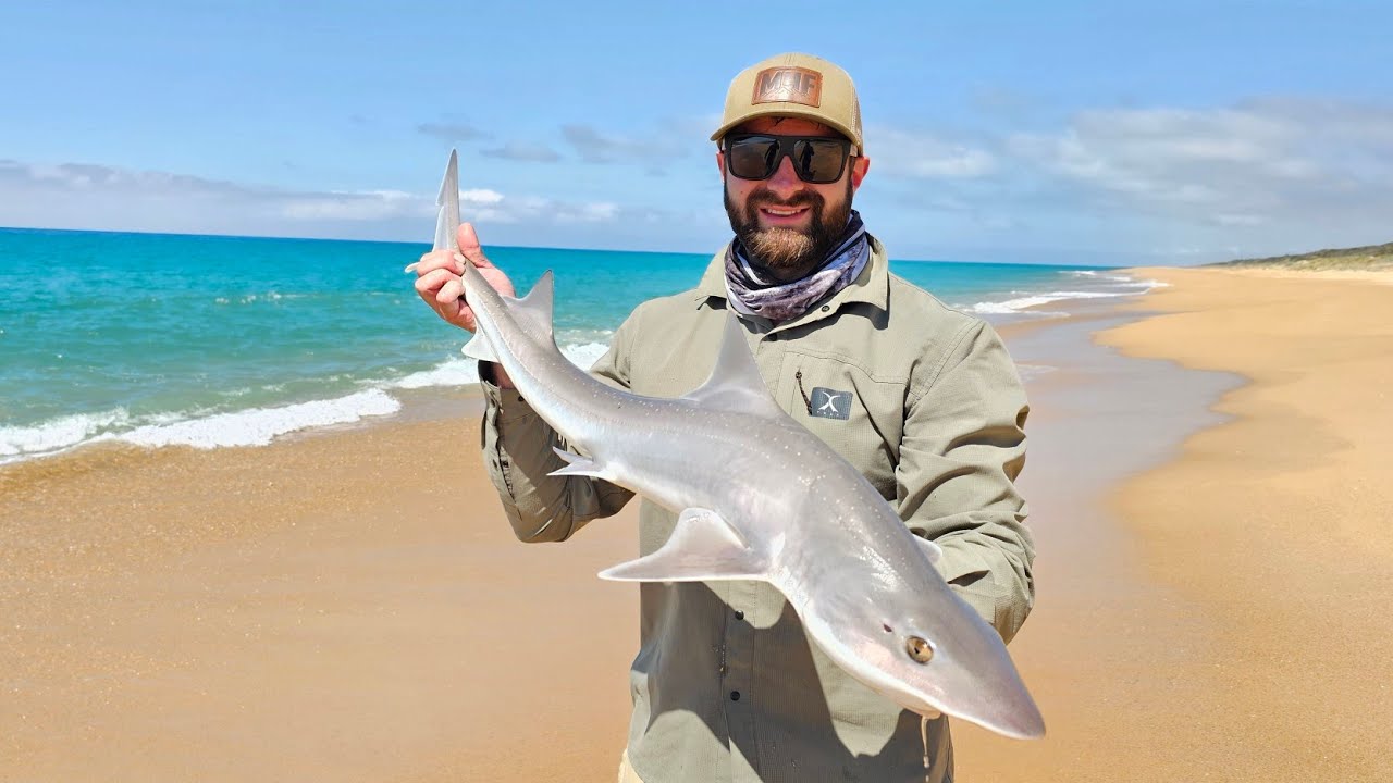 GUMMY SHARK February 2023 Fishing The 90 MILE BEACH - YouTube