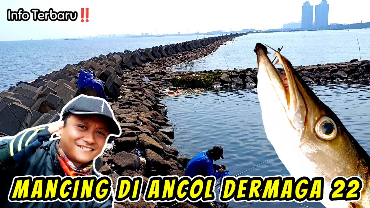 Spot Elit ‼️Ini Infonya, Mancing di Ancol Dermaga 22, Banyak ikan ...