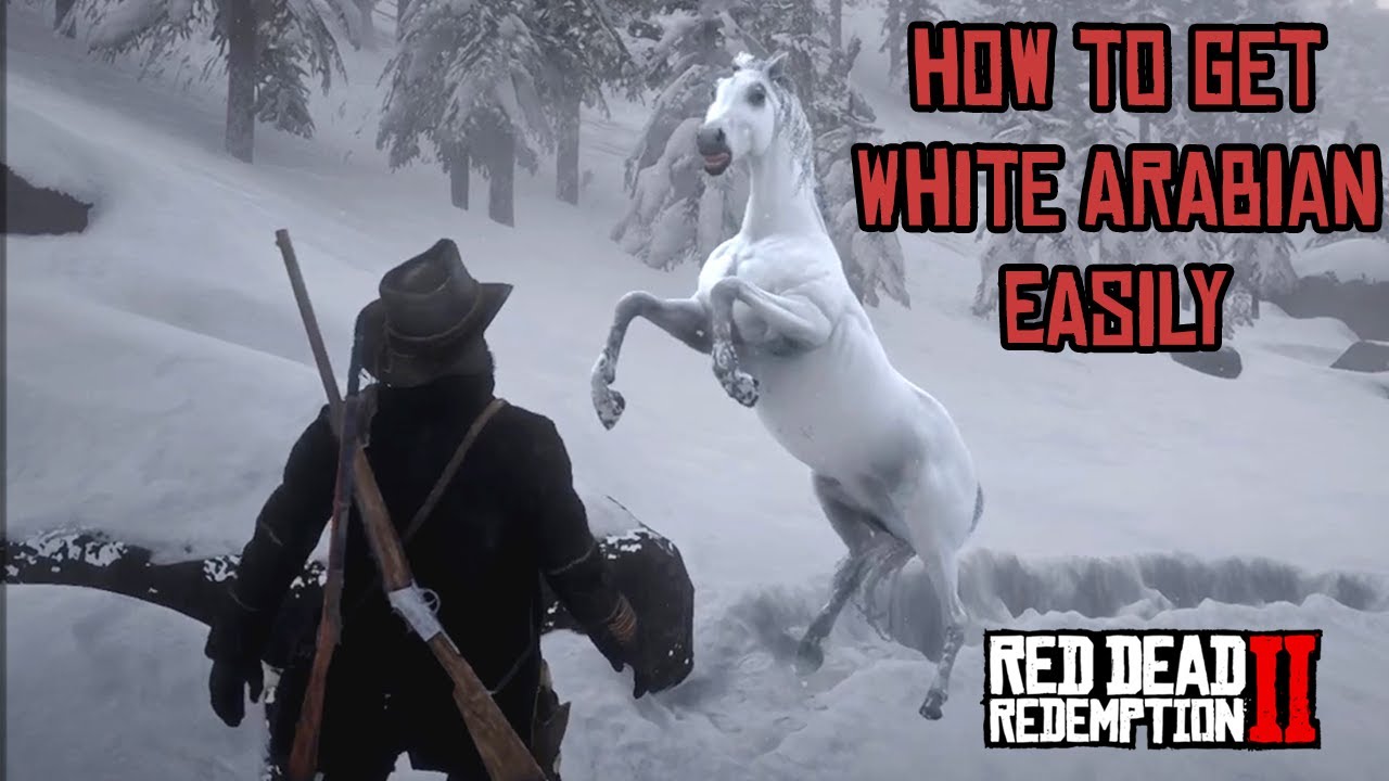 RDR2 - Taming Rare White Arabian Horse || PS4 gameplay|| - YouTube
