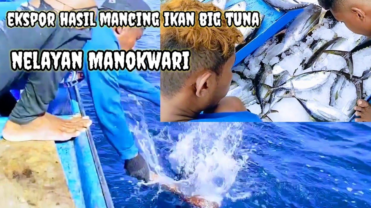 TRIK MANCING IKAN BIG TUNA•AGAR SAMBARAN TANPA AMPUN - YouTube