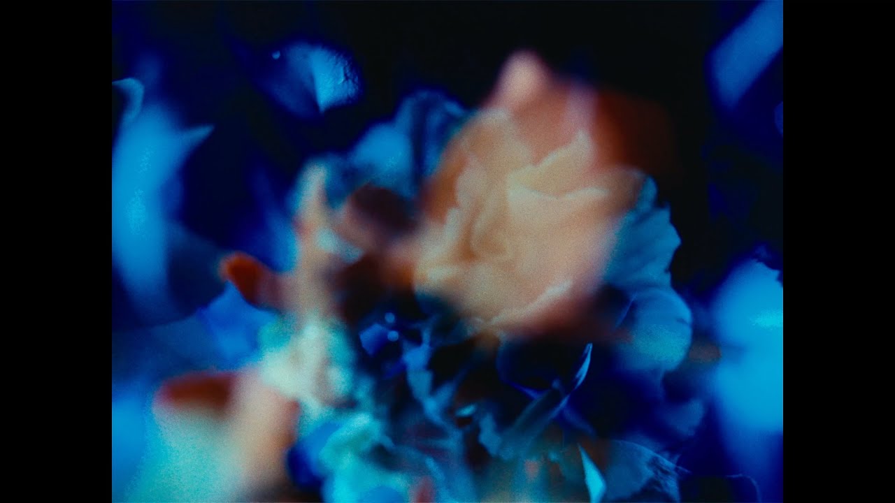 kurage shop - sealily (Official Music Video) - YouTube