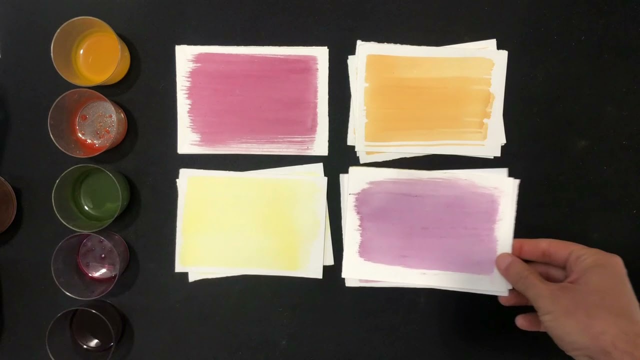 ANTOTIPIA: FOTOGRAFIA ECOLÓGICA – COM EMERSON SOUZA - YouTube