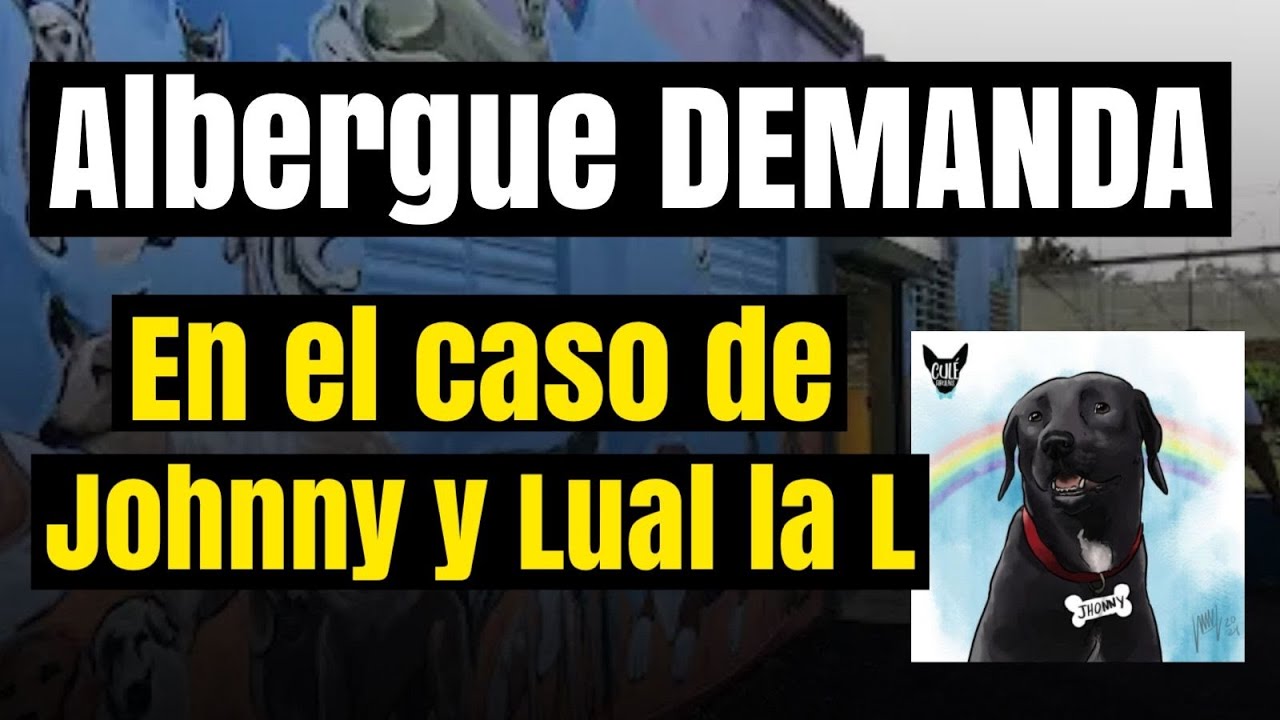 Albergue DEMANDA a ALCALDE de RIO GRANDE en el caso de LUAL la L y ...