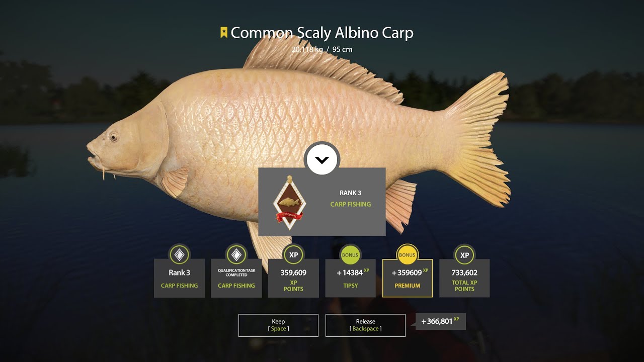 RF4 - Trophy Albino Common Carp - 20,118kg - YouTube