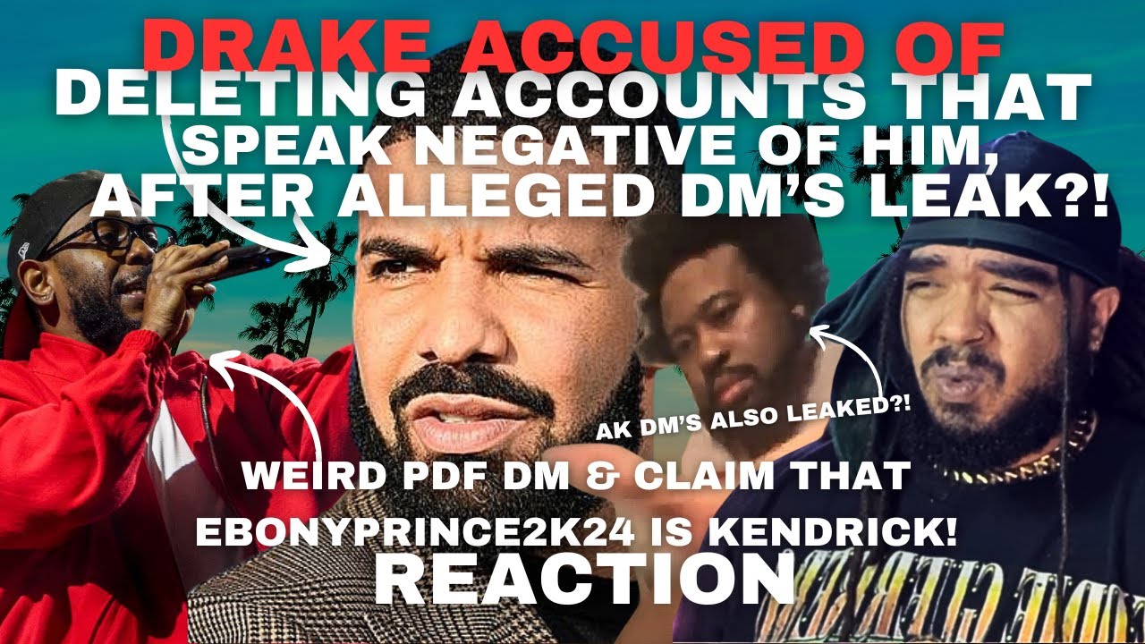 Drake Getting Accounts DELETED That Speak NEGATIVE Of Him & ALLEGED PDF ...