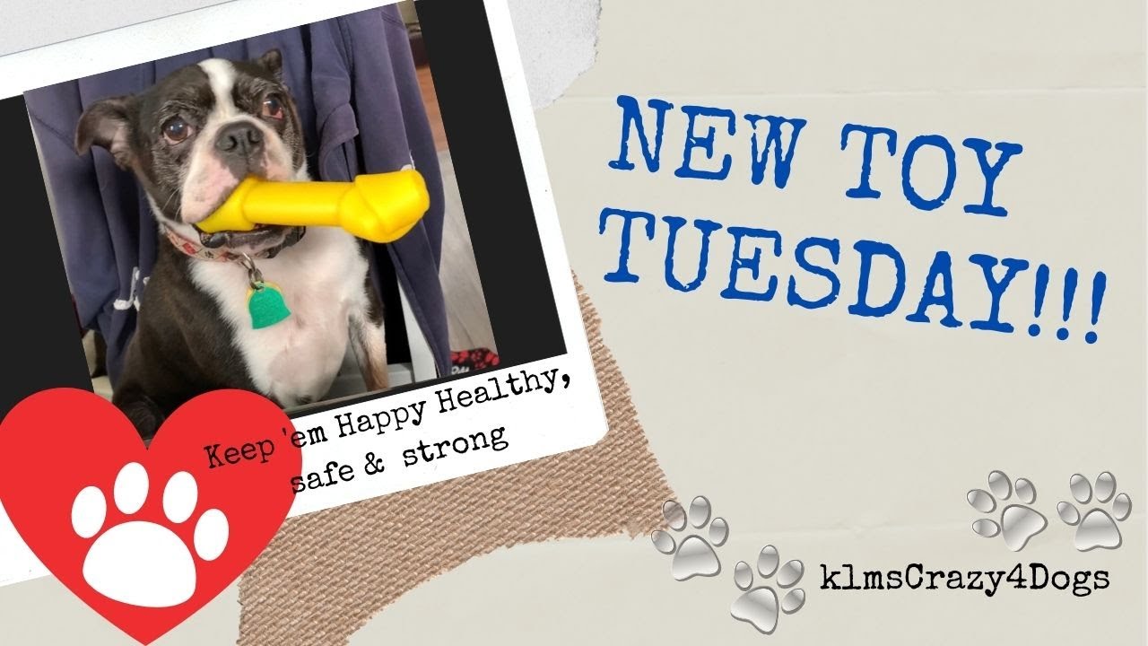 New Toy Tuesday - YouTube