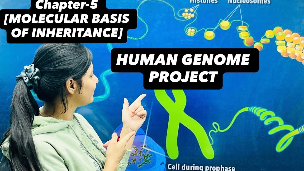 🎯 “Human Genome Project | NCERT Line by Line Explanation | Class 12 ...