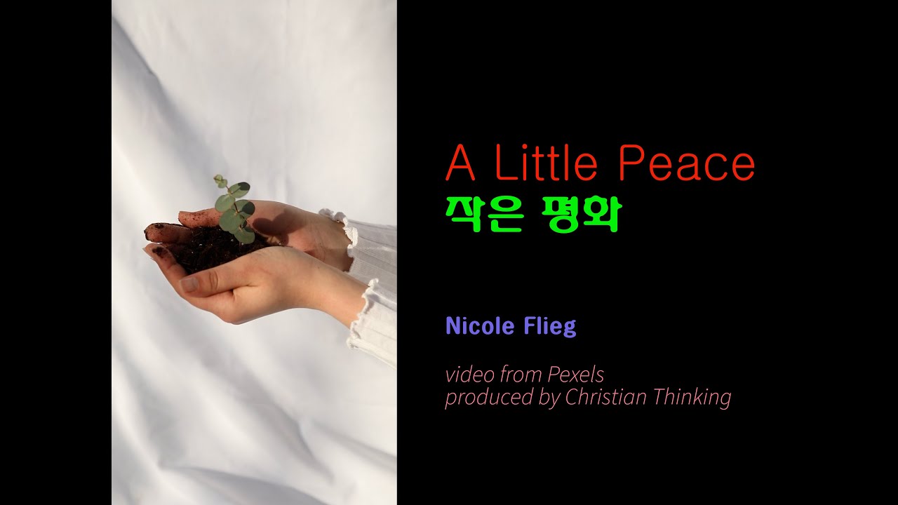 작은 평화 (A Little Peace, Nicole Flieg, 가사 해석) - YouTube