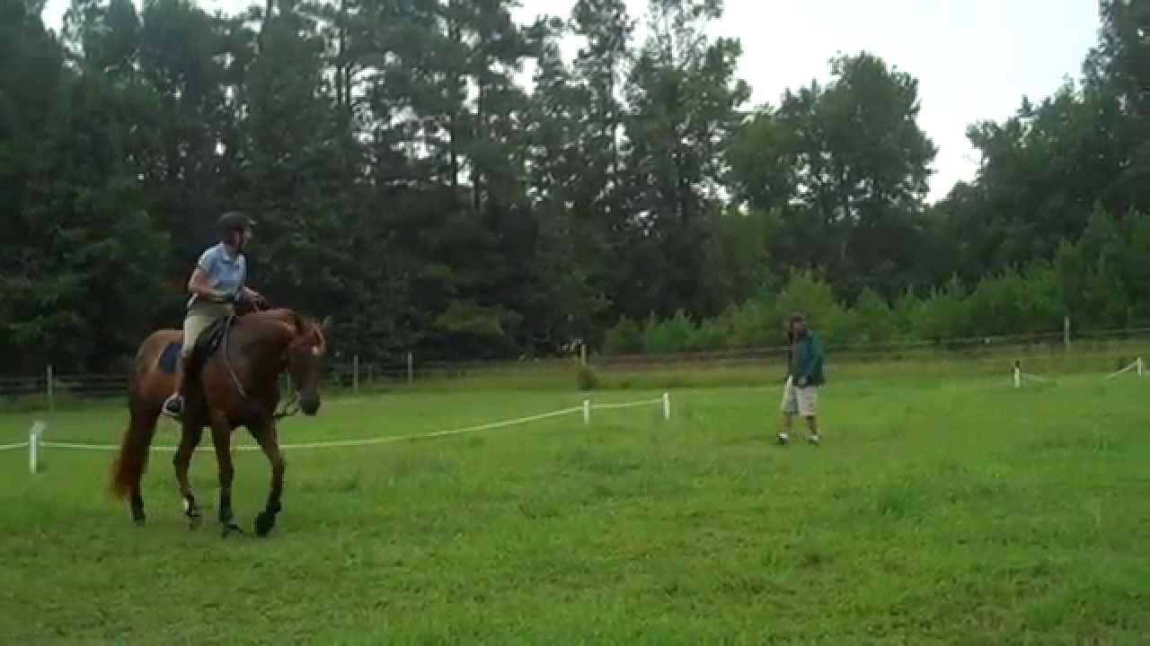 Away Again - Flatwork Pt I - YouTube