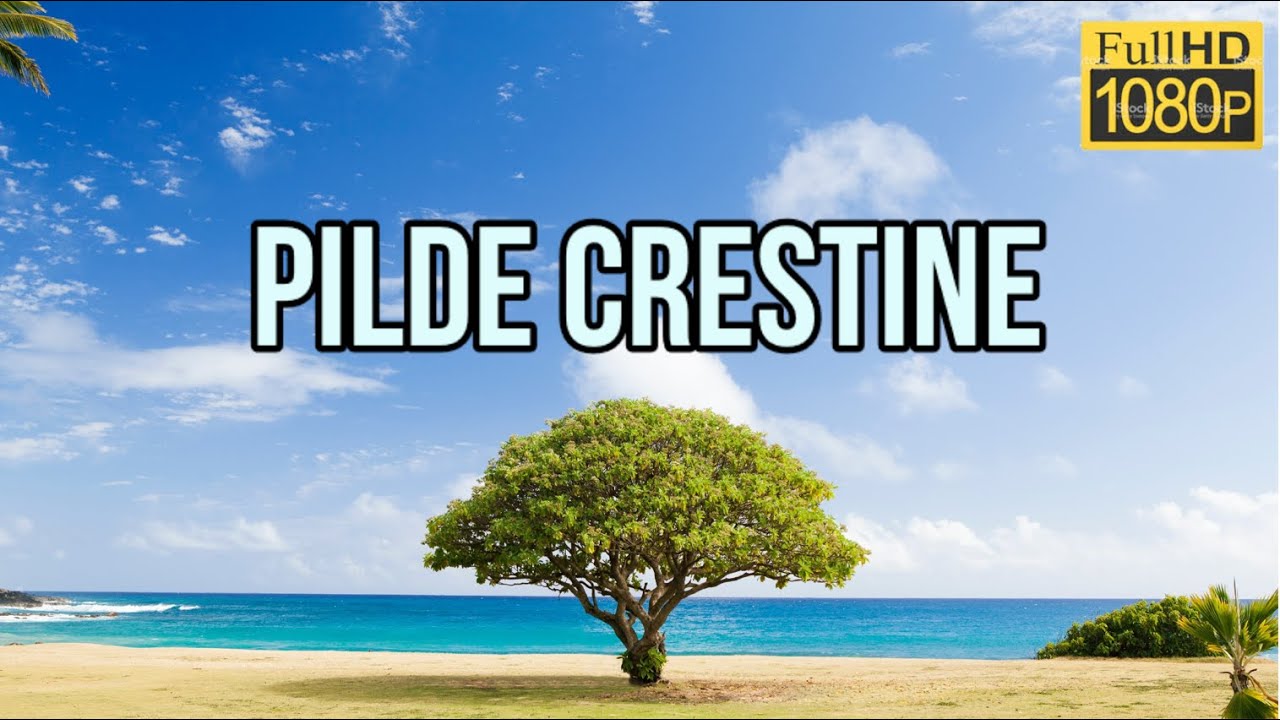 COPACUL CEL DARNIC - pilde creștine, povestiri cu tâlc #12 - YouTube