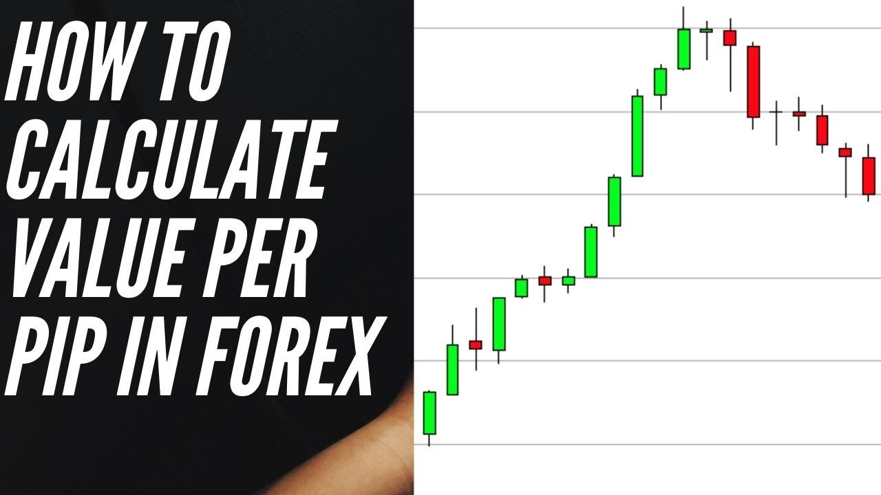 VALUE PER PIP IN FOREX; How Much Will You Make. - YouTube