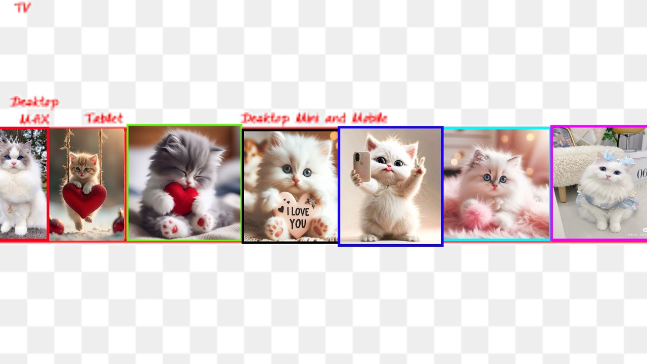 cute cat Live Stream - YouTube