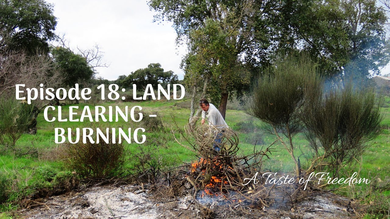 Episode 18: Land Clearing: Burning - YouTube