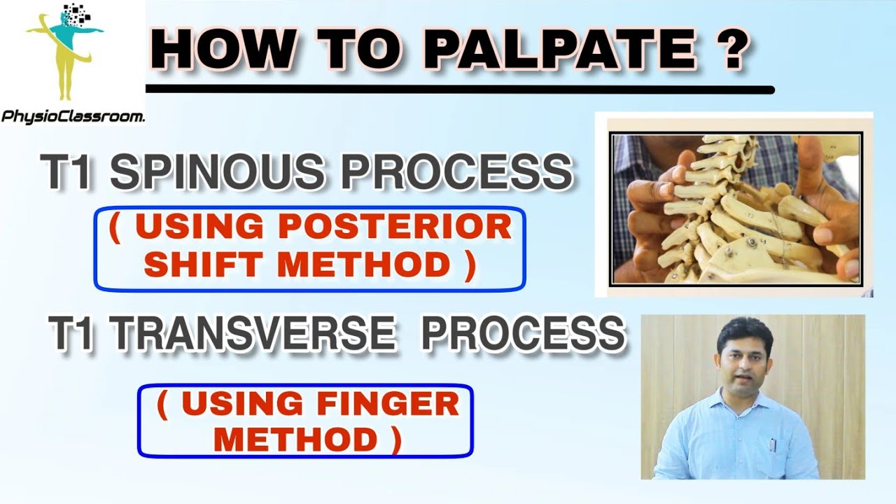 THORACIC SPINE PALPATION (PART-1) : POSTERIOR SHIFT METHOD - YouTube