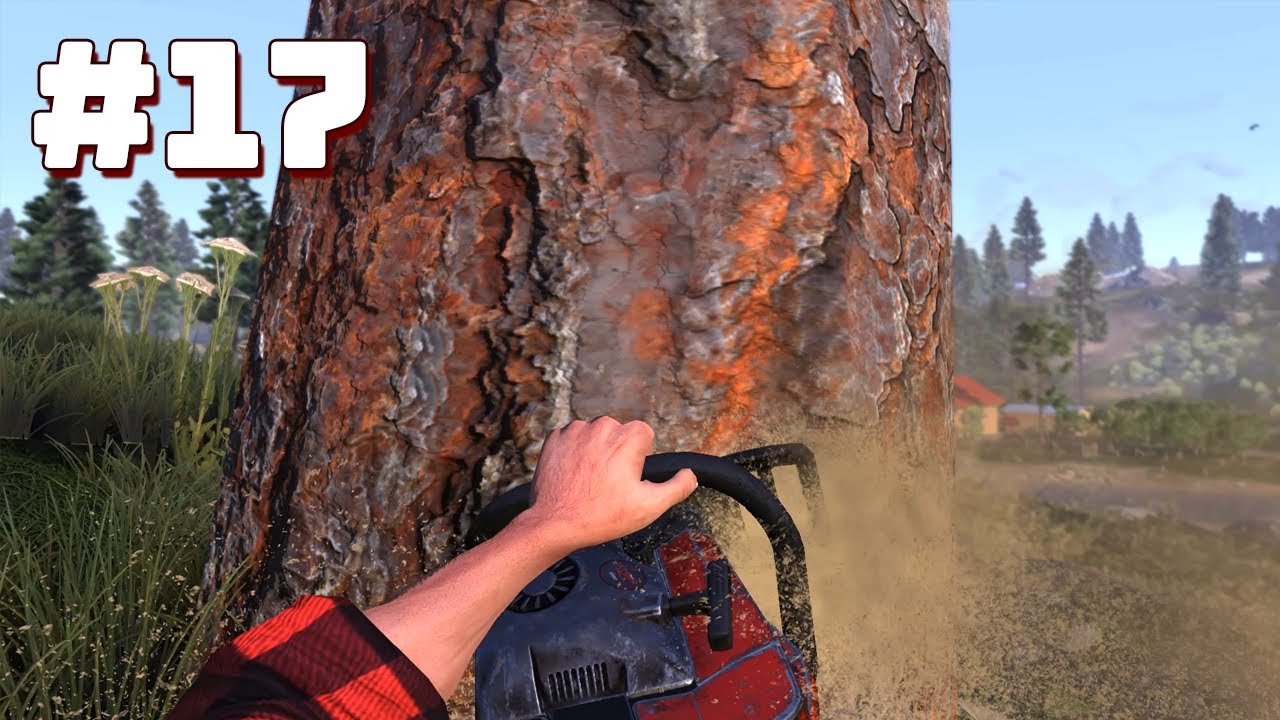 Lumberjack's Dynasty Gameplay Part 17 - New Forest - YouTube