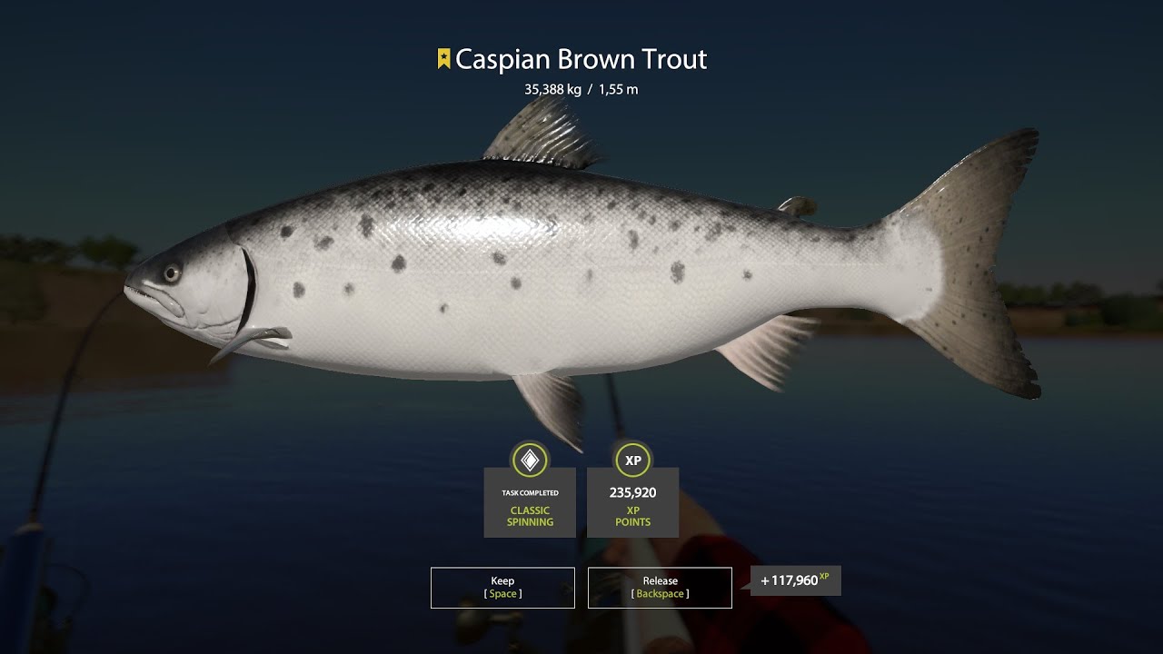 Russian Fishing 4 Trophy Caspian Brown Trout Akhtuba River - YouTube