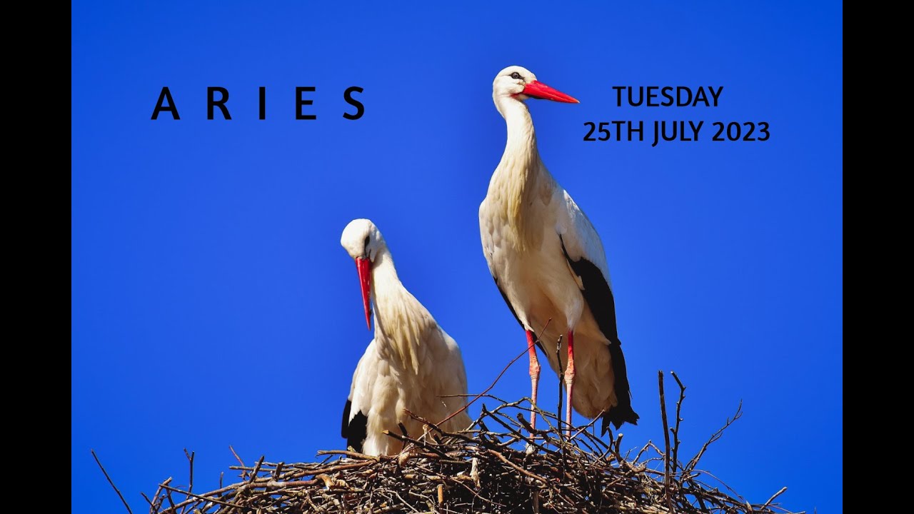 ARIES | TUESDAY JULY 25TH 2023 | DAILY TAROT READING - YouTube