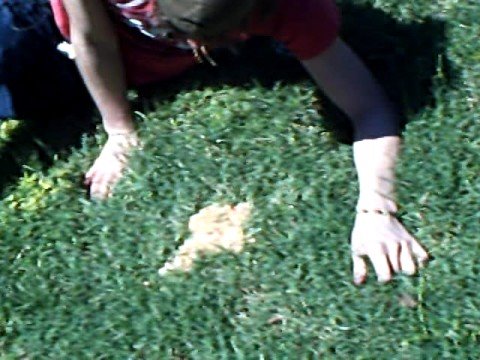 !!james throwing up!! sick nasty! - YouTube