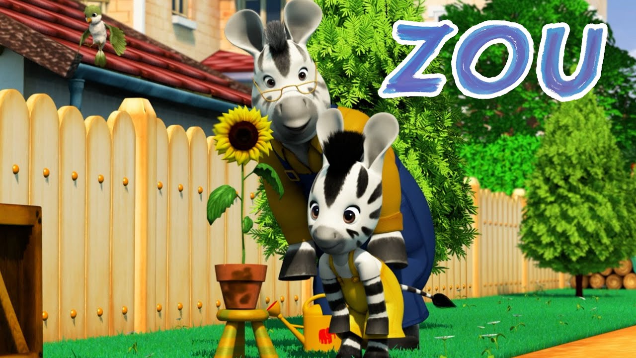 The Spring Sunflower | ZOU in english - YouTube