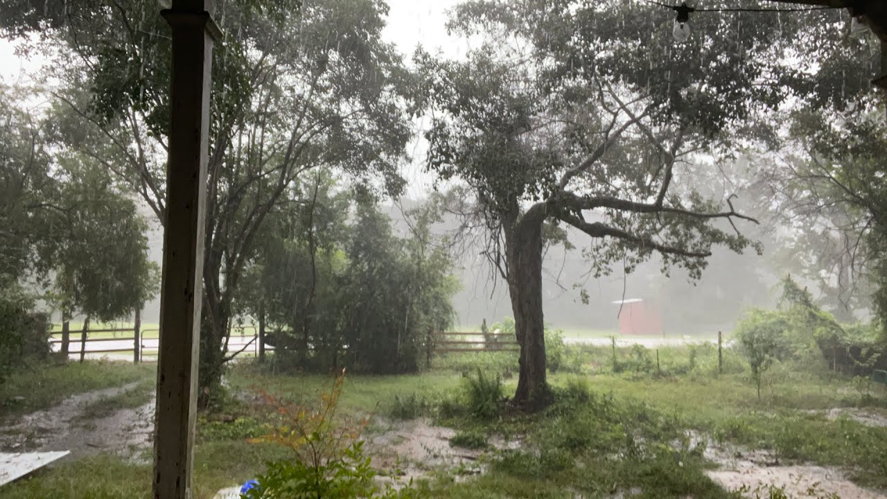 Heavy Rain on Old Farm (Live) - YouTube