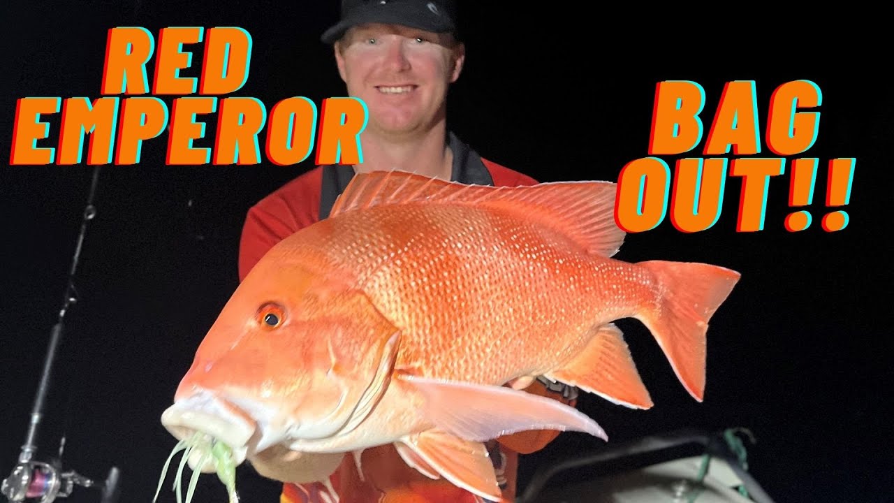Pilbara Red Emperor Bag Out At Night!! Putting Kudi straight on the ...