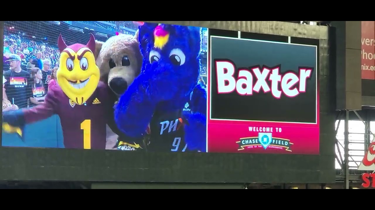 Baxter's birthday | chase field | arizona team mascots | baxter - YouTube