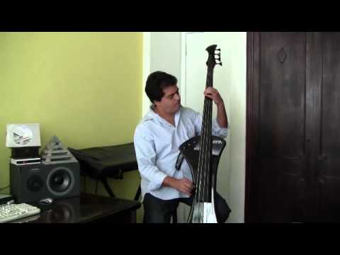 ZETA double bass 01.wmv