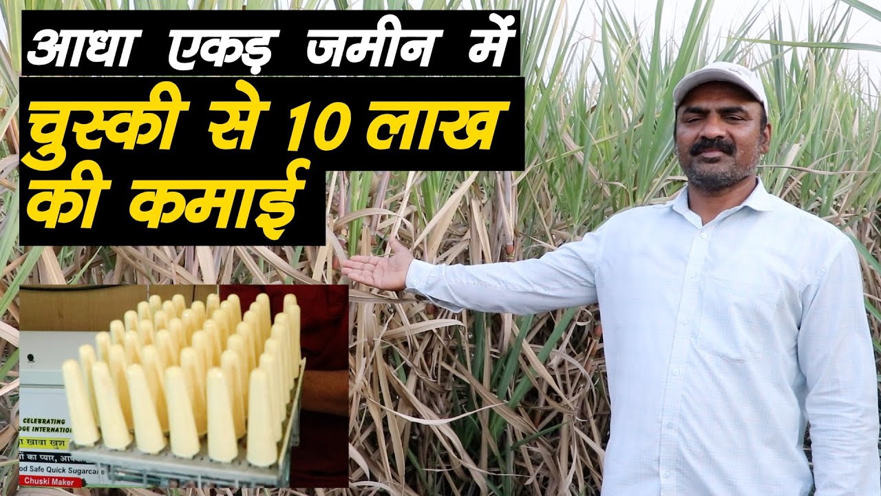 आधा एकड़ में गन्ने की चुस्की से 10 लाख की कमाई, किसान का गजब स्टार्टअप || Technical Farming ...