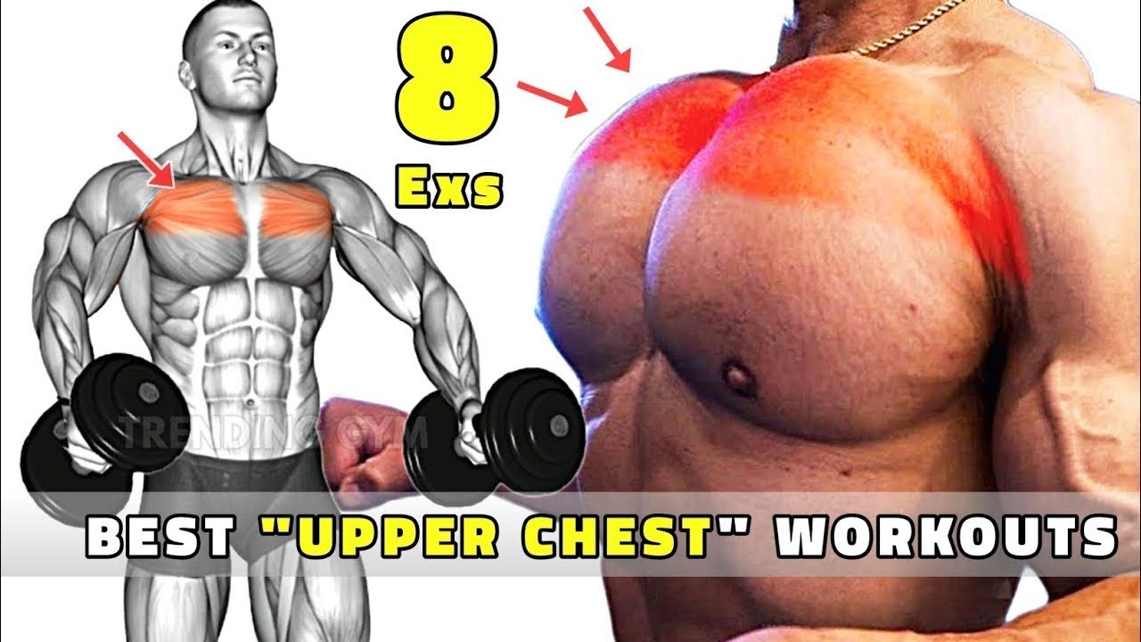 "Only Upper Chest Workout You’ll Ever Need | Bigger Chest in 4 Weeks ...