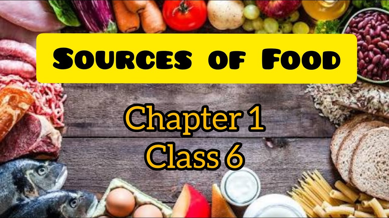 |Class 6th| |chapter 1| |science| - YouTube