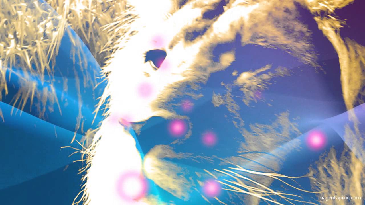 The 888 Triple Infinity Lion's Gate Portal (The Royal House of Sirius ...