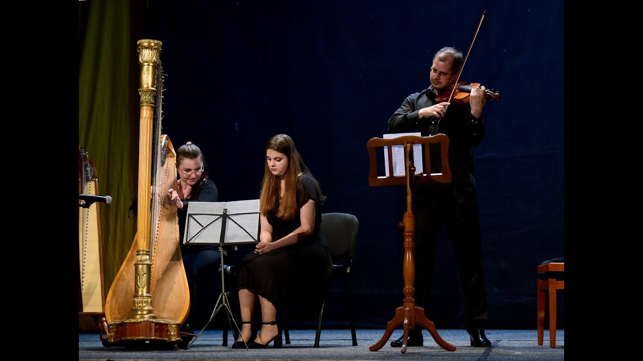 Miruna-Elena Vidican (harpă) și Lucian Gabriel Dănilă (vioară) - Luigi ...