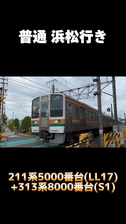 JR東海211系5000番台 (LL17編成)+313系8000番台 (S1編成) 普通 浜松行き #shorts #jr東海 #211系 #211系5000番台 #313系 #313系 ...