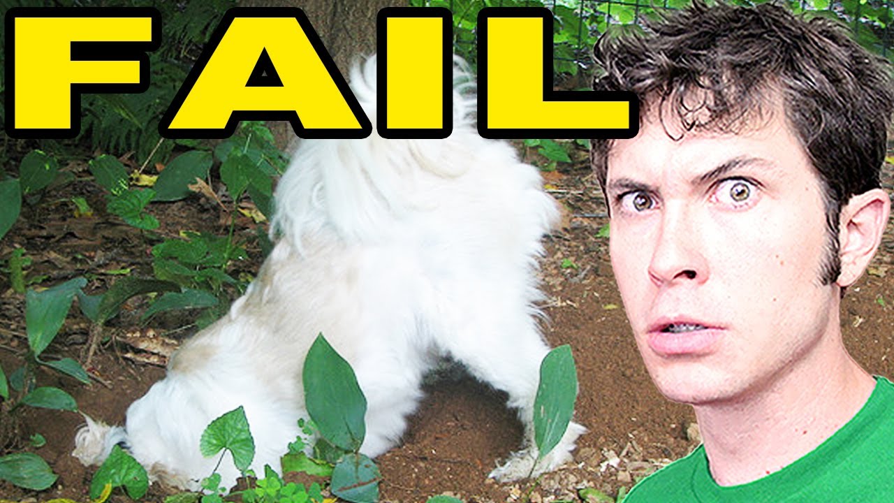 PUPPY DIGGING FAIL - YouTube