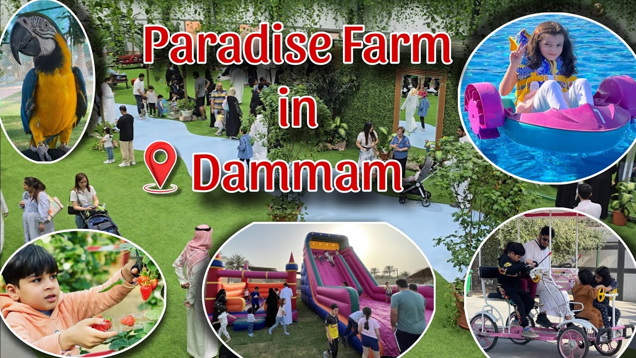 Trip to paradise farm dammam || Strawberry farms and outdoor activities ...