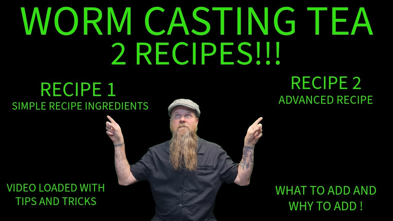 MAKING WORM TEA 2 RECIPES - YouTube