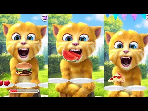 new funny video talking ginger funny 😹 cat | talking ginger 2 mod apk ...