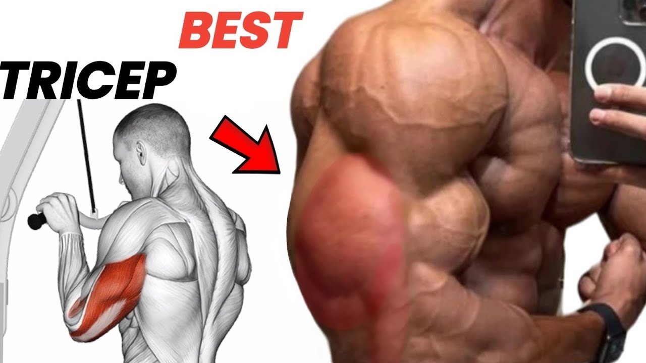 Top Best Tricep Exercises To Build Big Tricep Muscle | Tricep Workout ...