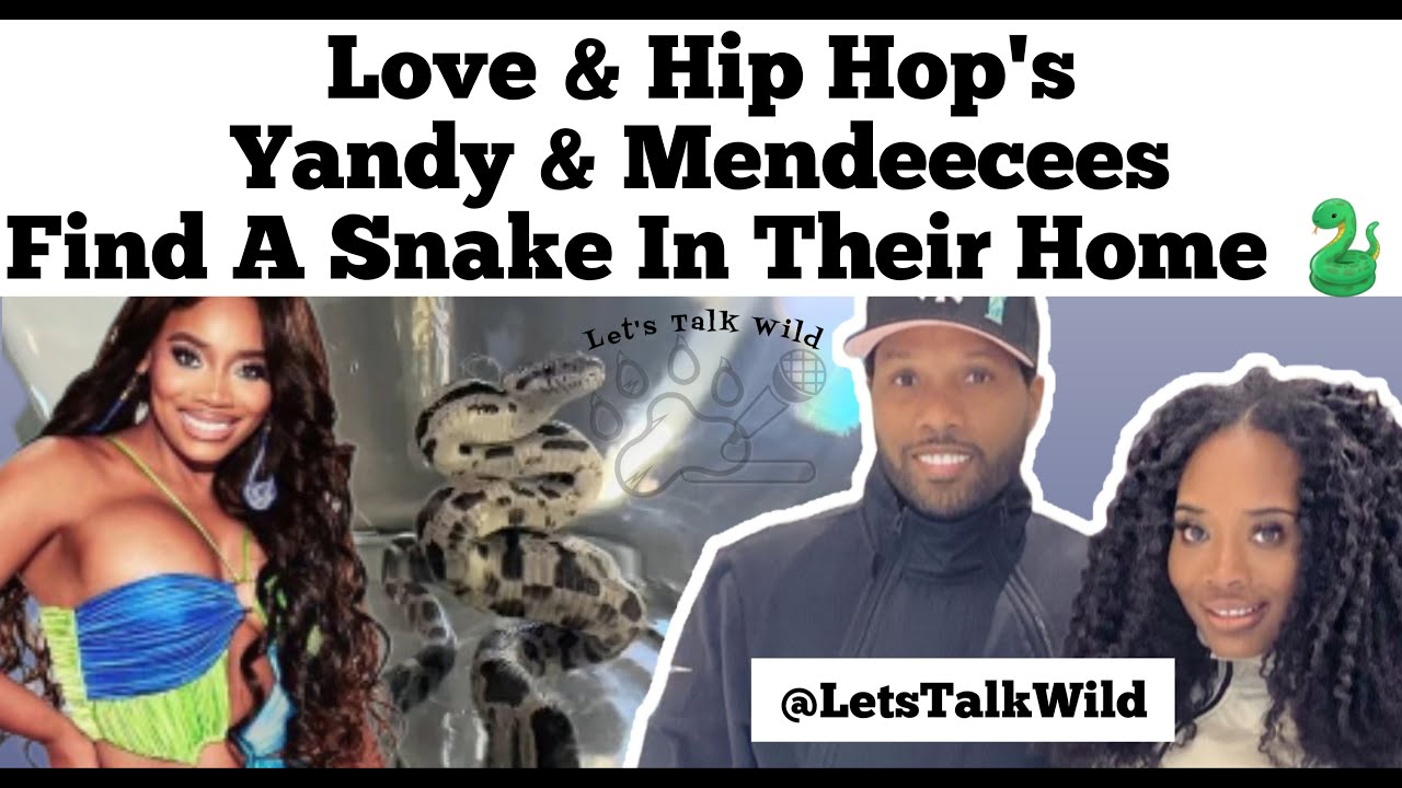 Yandy & Mendeecees Find A Snake In Their Home - Love & Hip Hop Atlanta ...