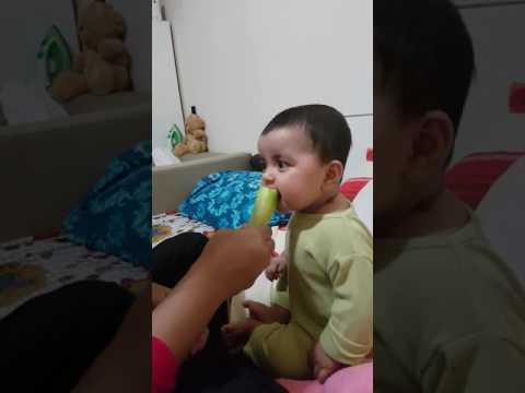 boshrat khair -sung by 6 month old Haya Hussain 😗