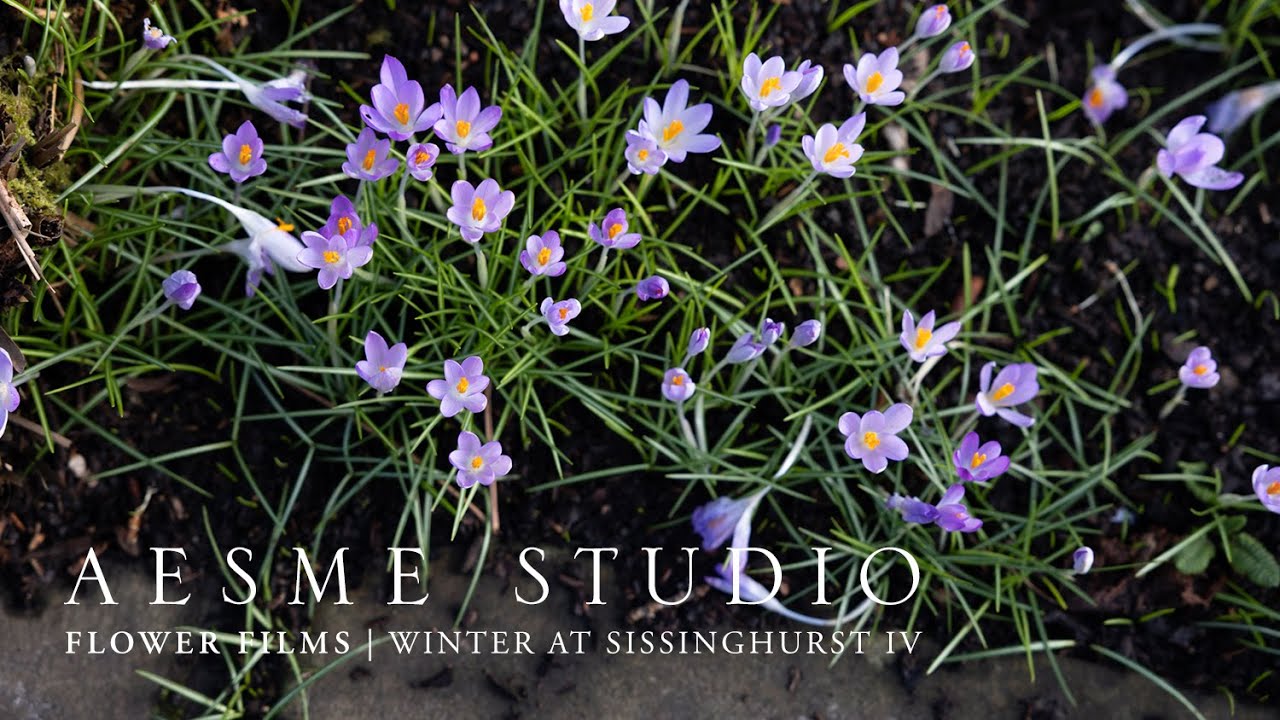 FLOWER FILMS | Winter at Sissinghurst IV - YouTube