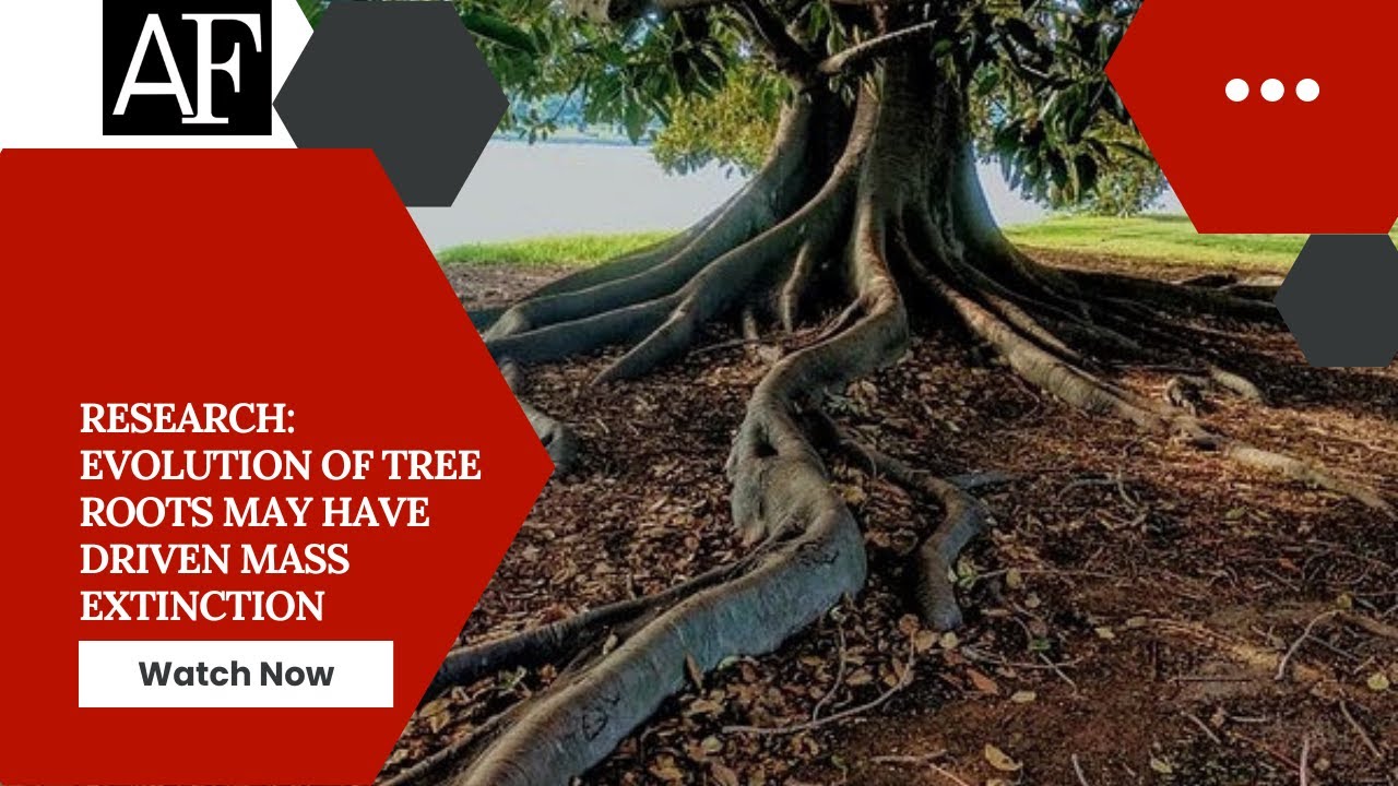 Research: Evolution of tree roots may have driven mass extinction - YouTube