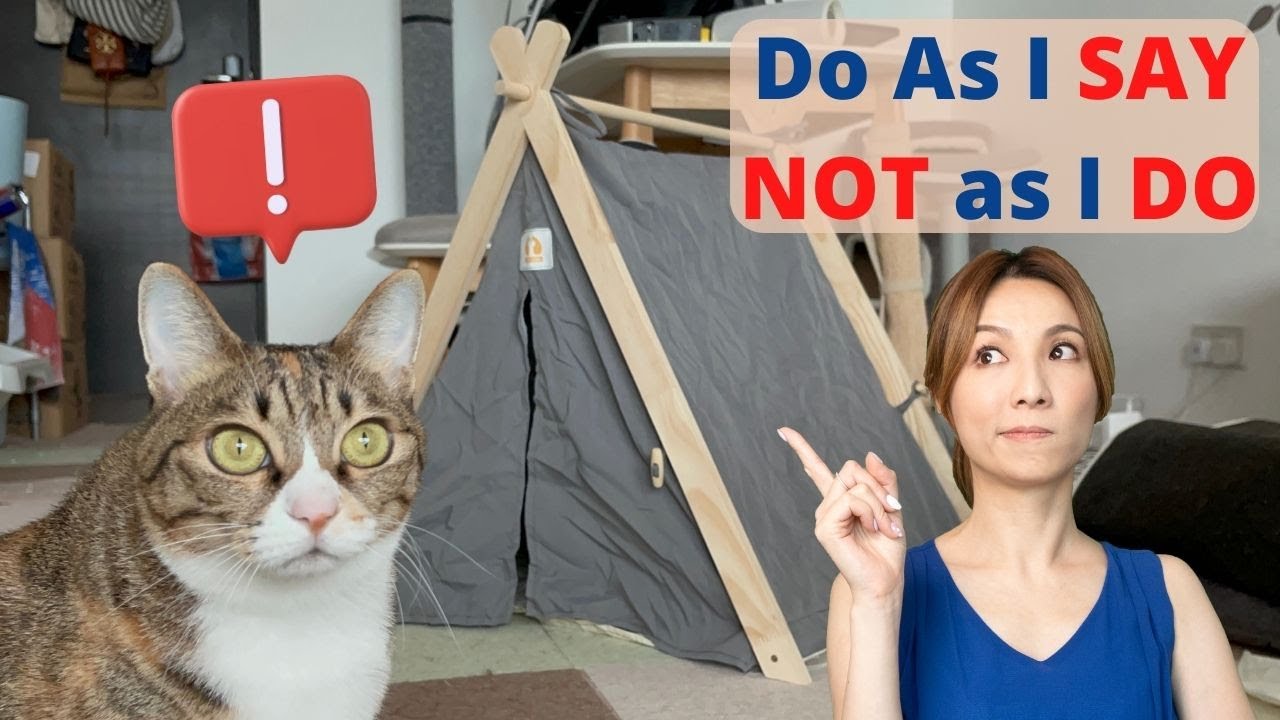 Pet Tent For Cats: Assembly Do's and Don'ts - YouTube