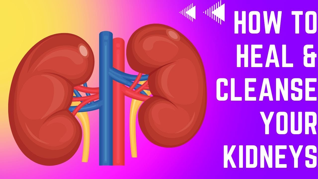 How to Heal & Cleanse Your KIDNEYS - YouTube